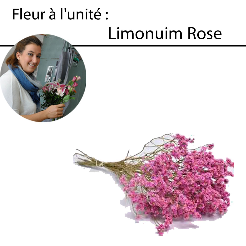 Fleur coupée Limonium rose 1000 V1 copie – T'fleurs – Artisan Fleuriste ...